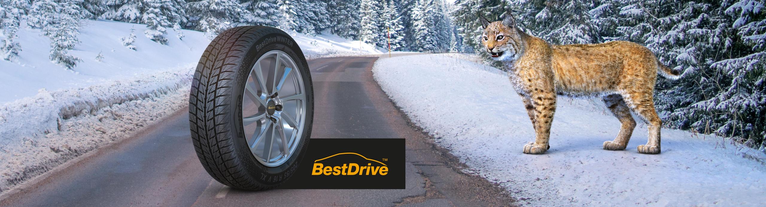 BestDrive Winterreifen online kaufen | Vergölst